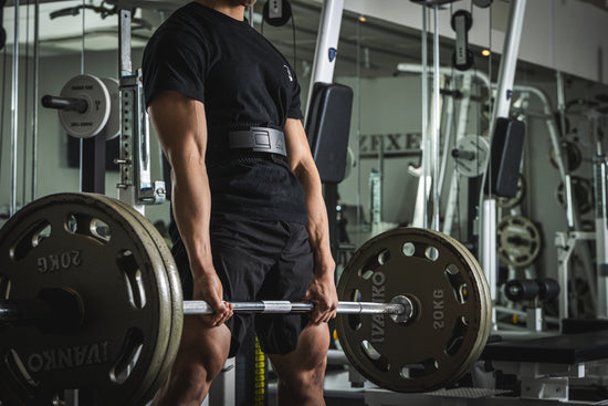 POWER BELT LITE-パワーベルトライト-P.L.College-パワーリフティングベルト – P.LCollege-パワー ...