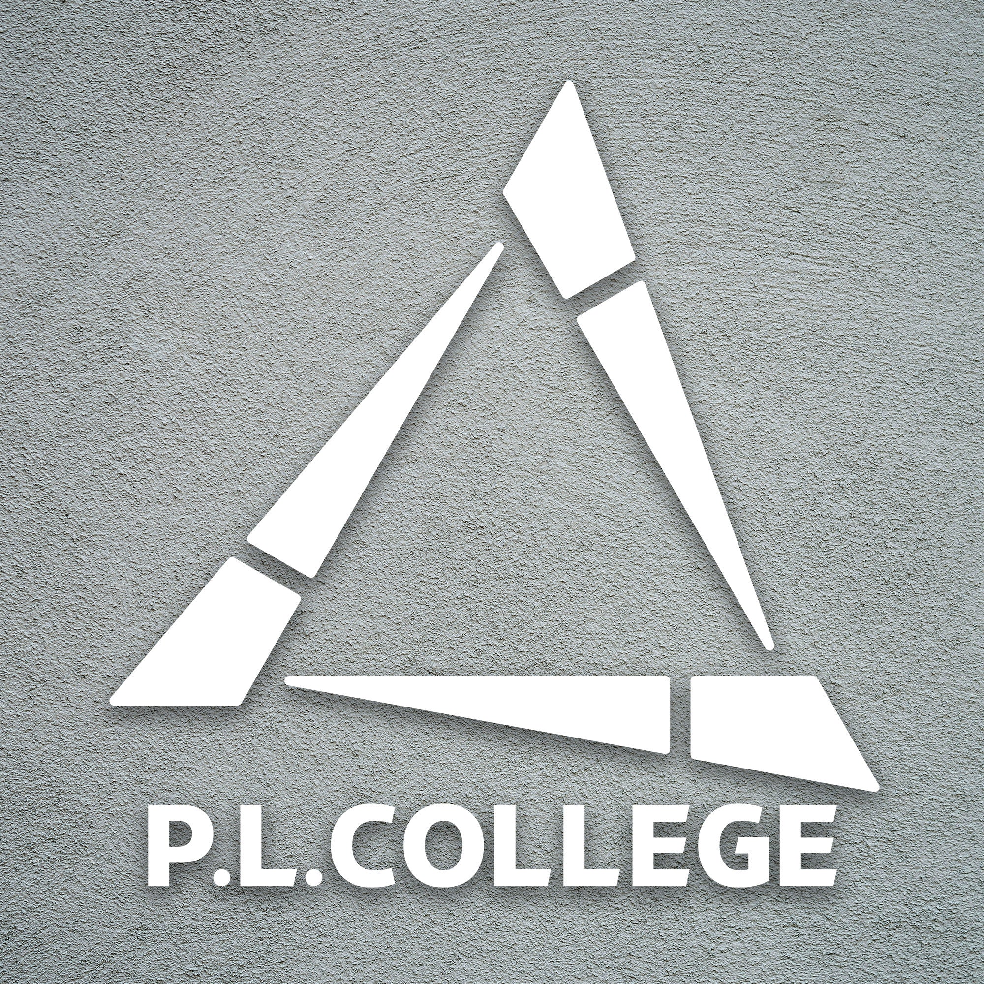 P.L.College-パワーリフティングカレッジ – P.LCollege-パワーリフティングカレッジ